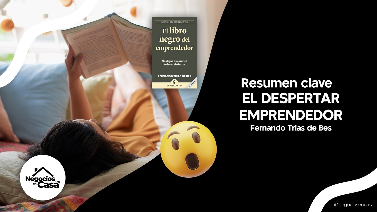 Resumen clave “El Despertar Emprendedor" de Fernando Trias de Bes ...